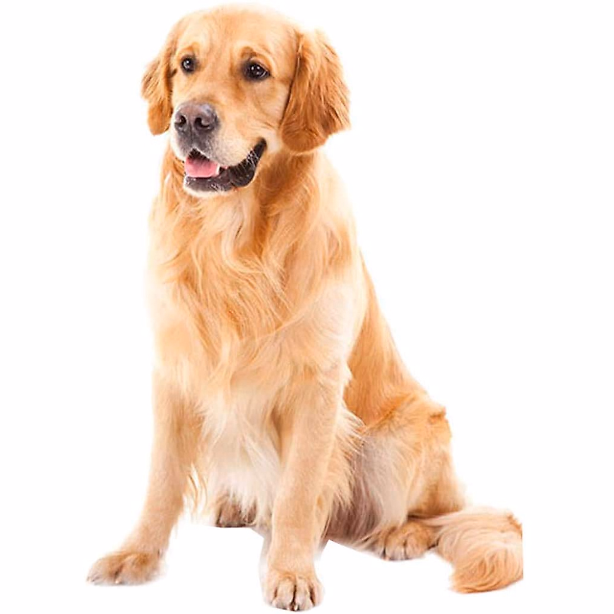 Classic Mini Retro Game Consoles, AV Output 8-bit Video Game Built-in 620 Games with 2 Classic Controllers