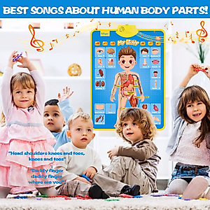 JOYLEARN My Body Interactive Educational Poster for Toddlers and Kids to Learn Body Parts, Organs, Muscles and Bones, 16'' x 22''