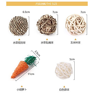 Hamster Toys, Guinea Pig Toys, 20 Pcs Wooden Hamster Toy Set Natural Apple Wood Small Animal Chew Molar Toys for Teeth for Rabbit, Chinchilla, Gerbils, Rats Exercise Accessories