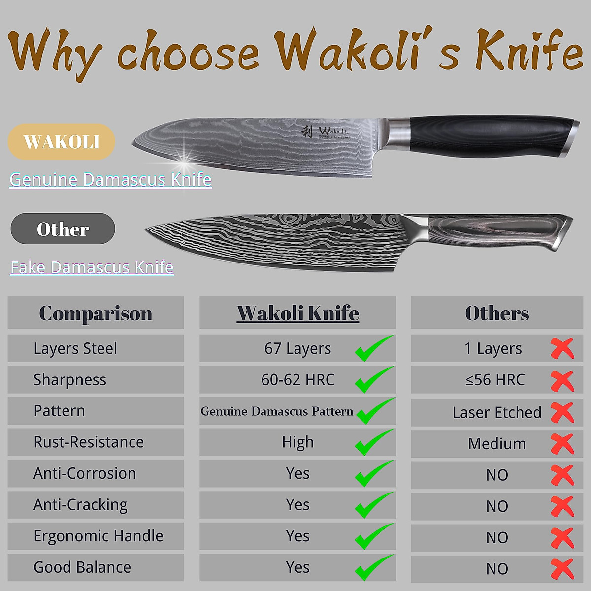 Wakoli 4 Piece Professional Damascus Kitchen Knife Set, Made of 67 Layers of Genuine Damascus Steel with VG10 Core, Chef's Knives Set with Ergonomic Micarta Handles for Precision and Comfort (MIK)