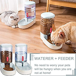 XingCheng-Sport 2 in 1 Pets Feeder Automatic Cat Feeder and Water Dispenser for Small Medium Big Dogs Cats Big Capacity 3.8L (Light Gray)