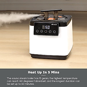 WillowyBe Portable Steam Sauna with Bluetooth Control, Steamer, Body Tent, Foldable Chair | Personal Home Spa