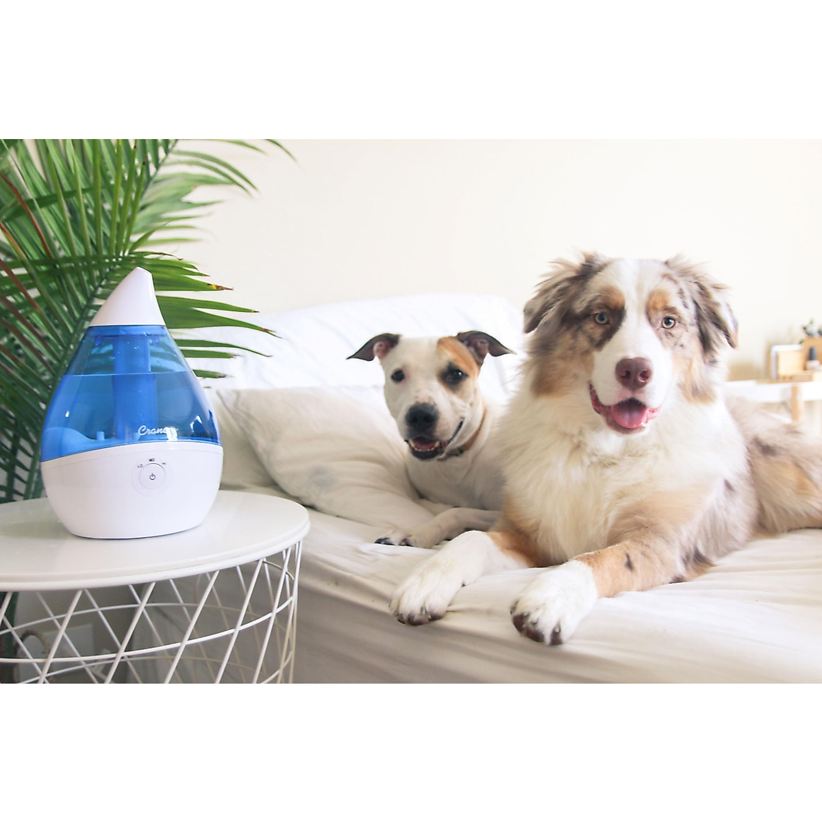 Crane Droplet Ultrasonic Small Air Humidifiers for Bedroom and Office, 0.5 Gallon Cool Mist Humidifier for Plants and Home, Humidifier Filters Optional, Blue and White