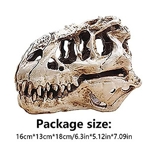 KODENG Tyrannosaur Skull T-Rex Skull Gifts Lifelike Resin Crafts Dinosaur Skull Fossil Teaching Skeleton Model Home Aquarium Decor (A)