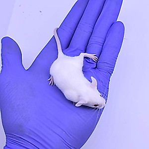 MiceDirect Frozen Weanling Mice Feeders Juvenile Ball Python Adult Corn (15 Count)