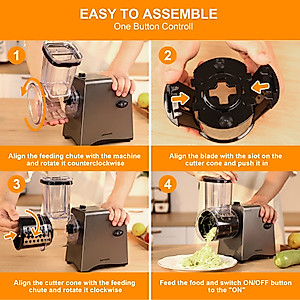 Electric Cheese Grater,250W Automatic Vegetable Chopper with 5 Attachments,Veggie Cutter Julienne Slicer Shredder for Carrot,Potato,Fruit,Block Cheese
