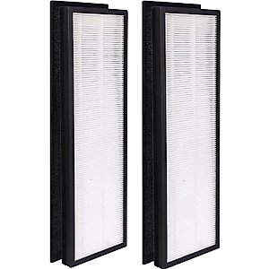 2-Pack Replacement Filter