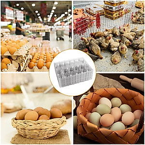 Oungy 50 Pack Plastic Egg Cartons Bulk 1 Dozen Clear Empty Egg Cartons Holds Up to 12 Eggs, Chicken Egg Cartons Reusable Egg Cartons Egg Tray for Family Chicken Farm Markets Display, 2x6 Grids