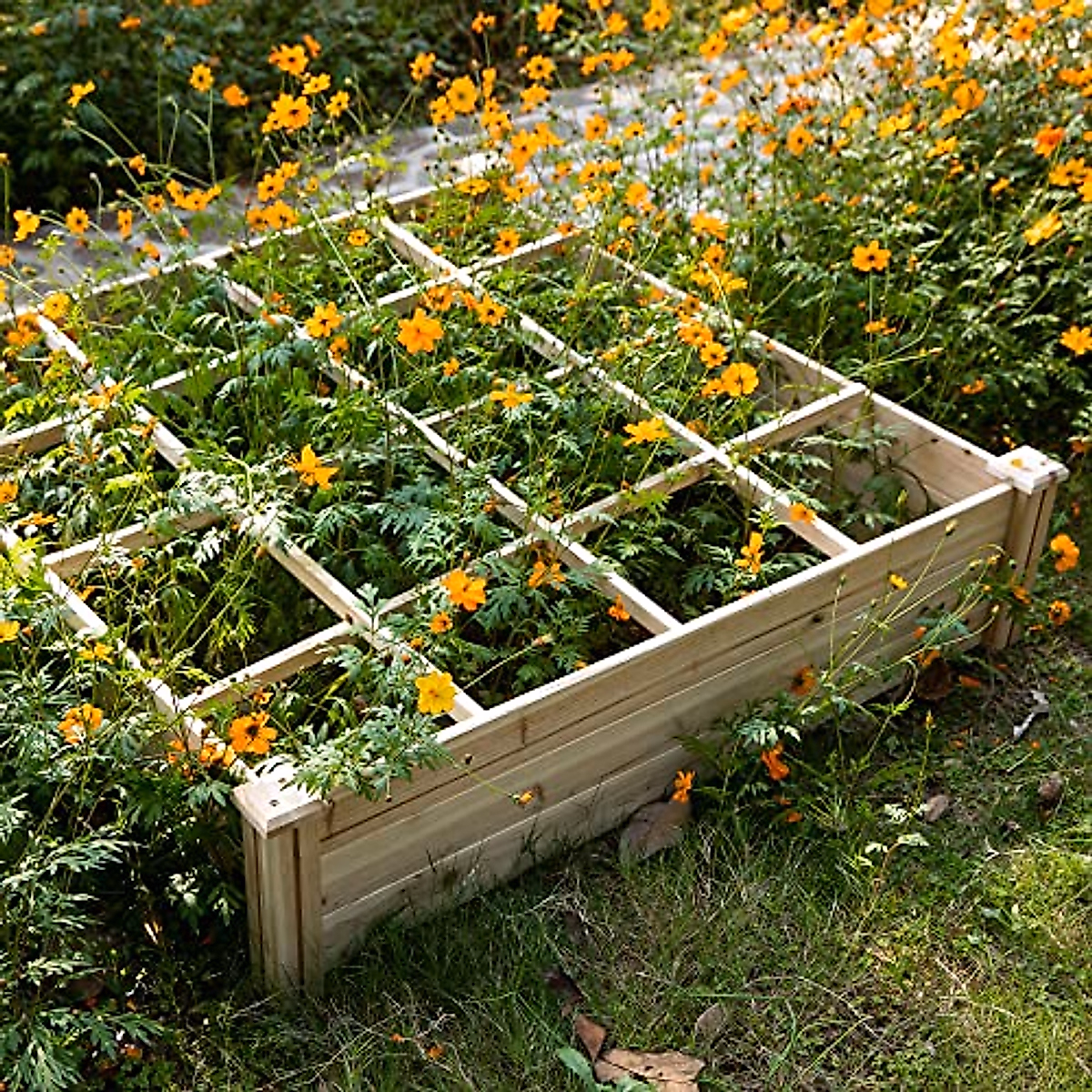 Outsunny 4ft x 4ft Raised Garden Bed, Wooden Planter Box with Segmented Growing Grid for Plants & Herbs, Natural Wood