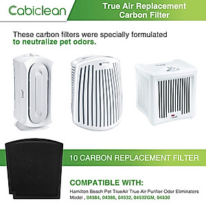 True Air Replacement Carbon Filters Compatible with Hamilton Beach Pet TrueAir Purifier Odor Eliminators Model 04384, 04386, 04532GM, 04530G, 04530GM & 04531GM,Compared to part #04234G (10-Pack)