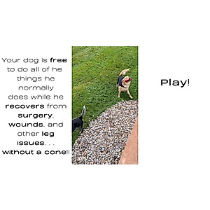 Dog Sleeve for Rear Legs Anti Lick, Dog Surgery Recovery Suit, Dog Pants to Prevent Licking, Dog Cone Alternative for Hind Legs, XXL, Blue