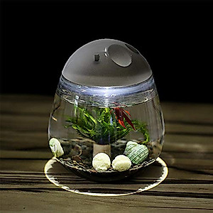Saim Plastic Small Fish Tank with Lid Desktop Round Fish Bowl and LED Lighting for Betta Fish Home Office Decoration (with Charger Pattern)