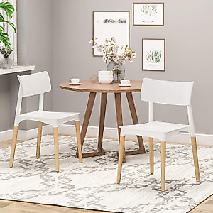 Christopher Knight Home Isabel Modern Dining Chair with Beech Wood Legs (Set of 2), White and Natural