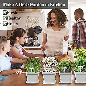 Herb Garden Windowsill Starter Kit - 10 Herb Indoor Kitchen Growing Herb Complete Set Including Everything for Beginner - DIY Garden Gifts for Kid Adult
