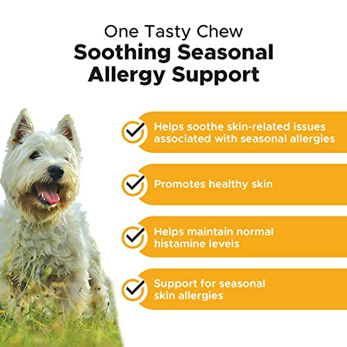 PetHonesty Allergy Skin Health - Fish Oil for Dogs Omegas, DHAGold, Flaxseed, Probiotics for Itch-Free Skin, Shiny Coats, Helps Reduce Shedding, Soft Chews for Healthy Skin & Coat - 90 ct (Salmon)