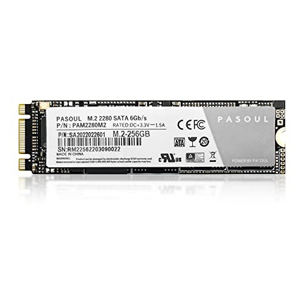 PASOUL SSD 256GB SATA M.2 2280 6GB/s Compliant 3D TLC Max Read 530MB/s Write 450MB PAM2280M2-256