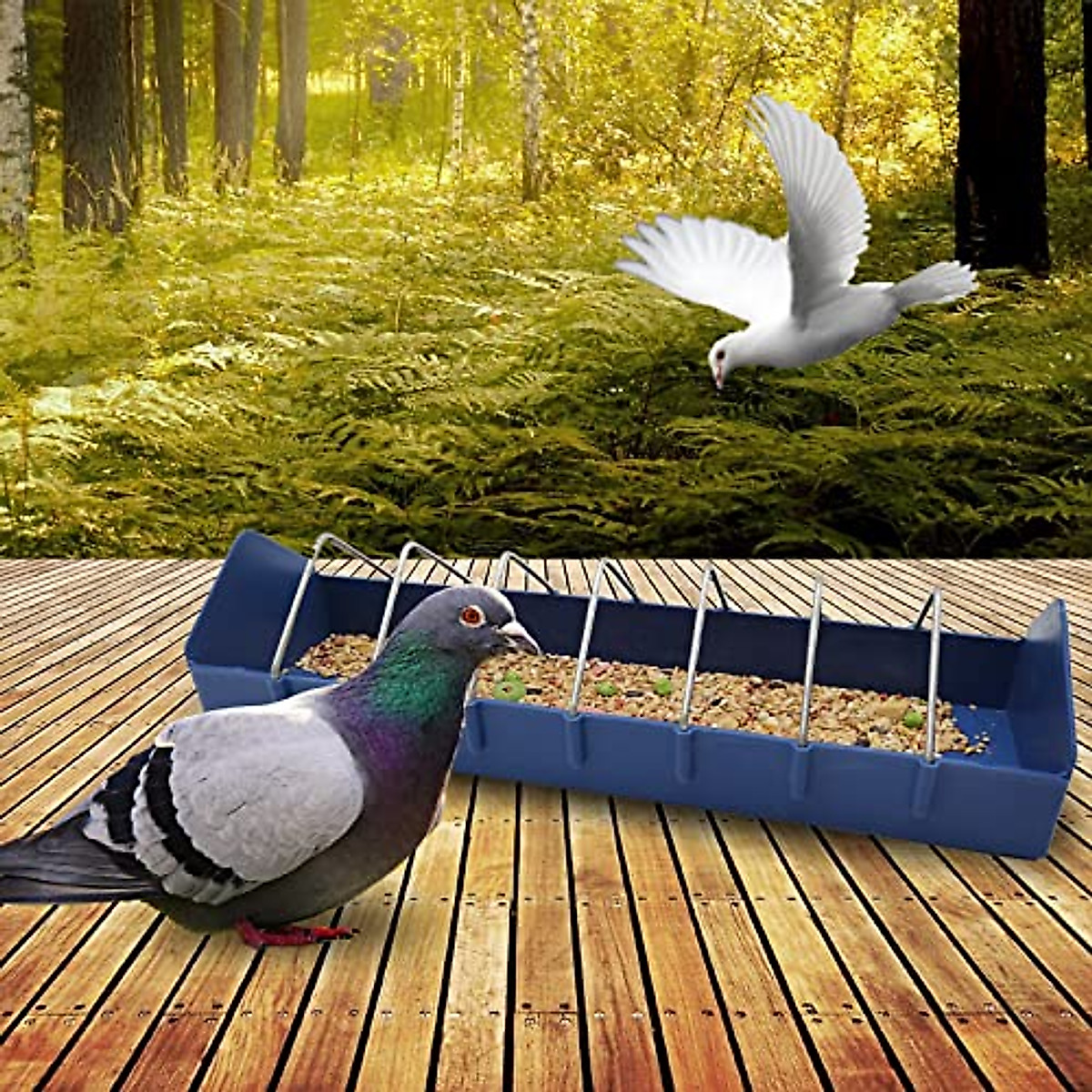 2PCS Pigeon Feeder, Bird Dispenser Slot Container, Poultry Plastic Thick Trough Dish Less Waste with Removable Steel Wire Partition for Pigeons Quails Birds Chicks Ducklings