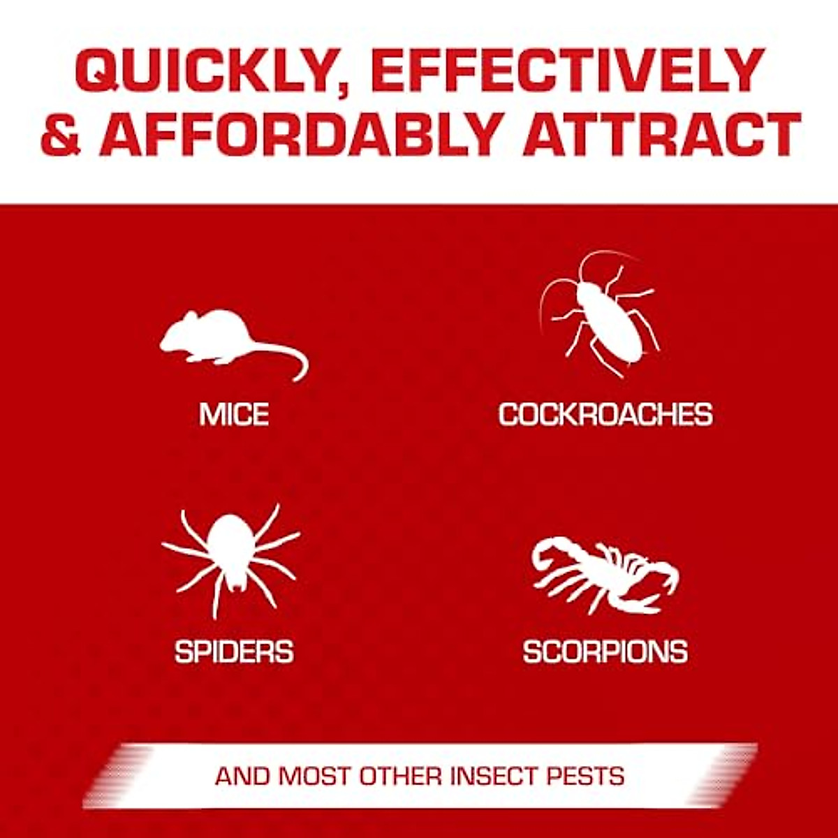 Tomcat Super Hold Glue Traps Mouse Size for Mice, Cockroaches, Spiders, and Scorpions, Ready-To-Use, 4 Traps