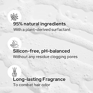 DUFT & DOFT Soapy Soapy Perfumed Hair Shampoo 500ml (16.9 fl.oz.) - Refreshing Clean Soapy Scent, Hypoallergenic pH-Balanced Scalp Care Soft Foaming Silicone-Free Shampoo, Refreshing Fragrance