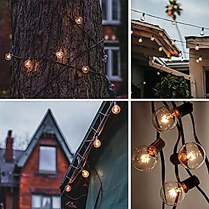 Wax Warmer Bulbs 6 Pack, G50 25 Watt Light Bulbs for Full Size Scentsy Warmers, E12 Base G16.5 Globe Clear scentsy Bulb for Candle Wax Warmer, Long Lifespan, 120 Volt