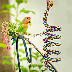 Bird Cotton Rope Swing Perch Chew Toy Parrot Cage Stand with Bell for African Grey Parakeet Cockatiel Cockatoo Lovebird Finch Budgie Amazon Macaw (M-59INCH)