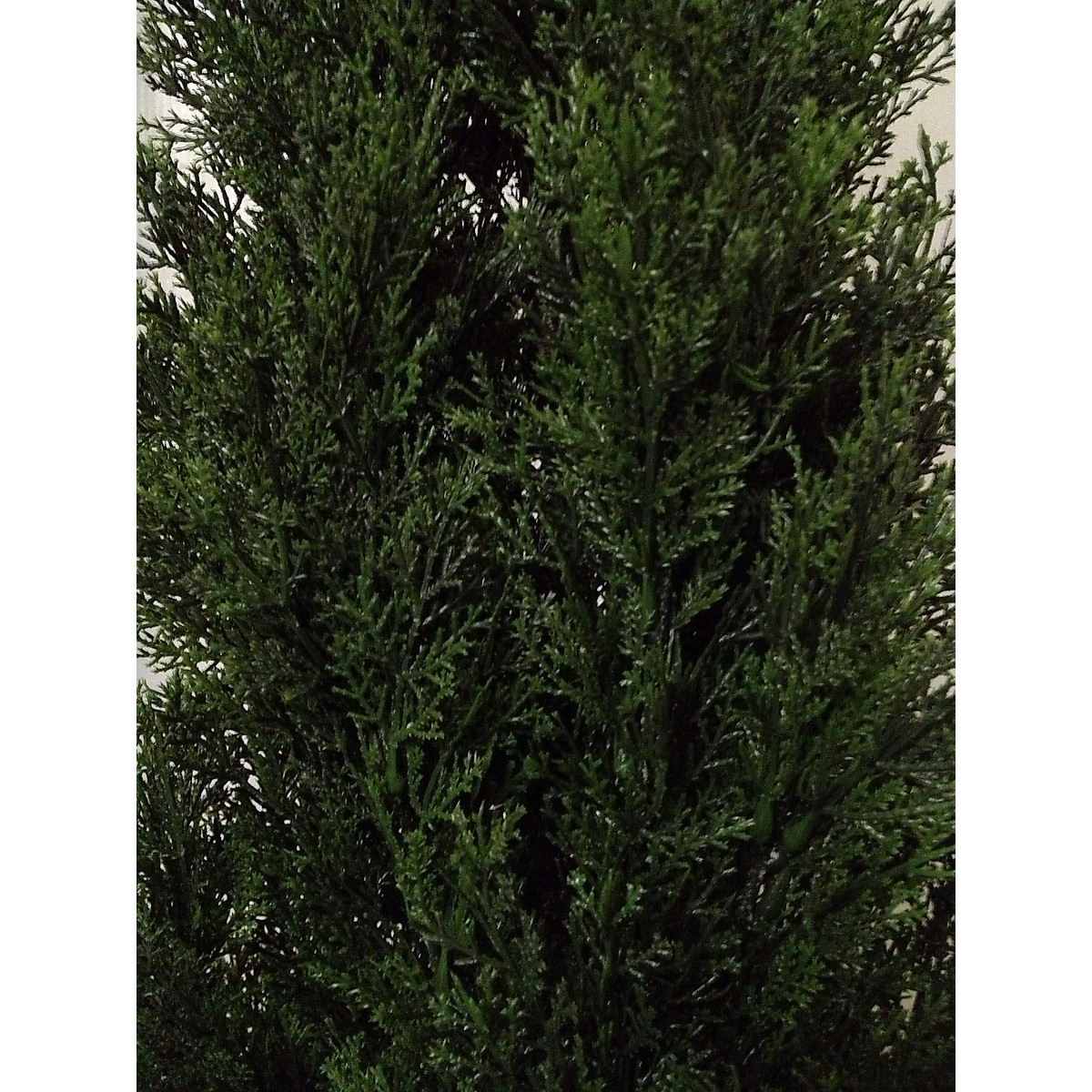 One 4 Foot Outdoor Artificial Cedar Topiary Tree Potted UV Rated Plant by Silk Tree Warehouse Company Inc (4 Foot)