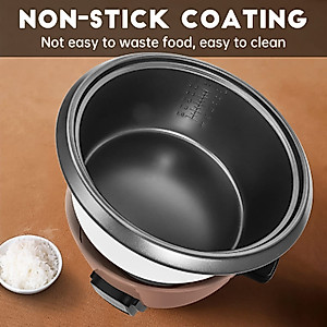 Wantjoin Rice cooker Stainless Rice Cooker & Warmer Commercial Rice cooker for party and family(10L capacity for 4.2L rice,42CUPS) Brown