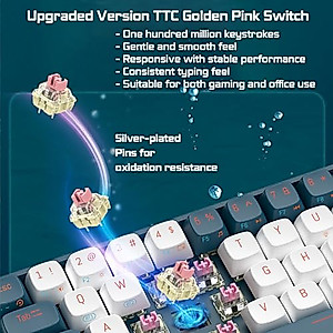ROYALAXE R100 Wireless Mechanical Keyboard, Upgraded TTC Gold Pink Switches, Hot Swappable Wired/Bluetooth 5.0/2.4G Wireless Keyboard with RGB Light for Windows & Mac, PBT Keycaps, Whale Blue