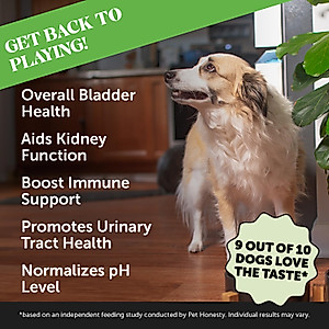 Pet Honesty Cranberry Bladder Health for Dogs – Contains Active Ingredients - Cranberry & D-Mannose to Help Support Dog Urinary Tract Health, Dog Bladder Support, & Kidney Support for Dogs (Bacon)