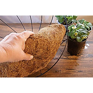 FDGARDEN 2PCS Round Replacement Coco Liner for Hanging Basket, 12 inch Coconut Fiber Plant Basket Liner for Garden Planter Flower Pot (12 inch Round)