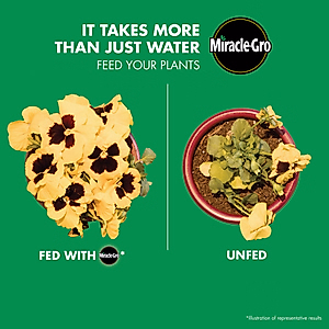 Miracle-Gro Liquafeed Universal Feeder Starter Kit 16oz