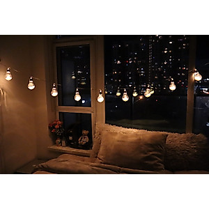 Thegreen Globe String Light led with Sparkles and Flowers Plug in Wall, 9 Light Bulb with Extension + Female Plug a Decorative Lights for Bedroom, Patio, Garden and Waterproof
