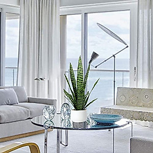 Bird Fiy Artificial Snake Plant 22" Faux Agave Fake Sansevieria Artificial Potted Plants for Indoor and Outdoor Home Office Décor (White Pot)