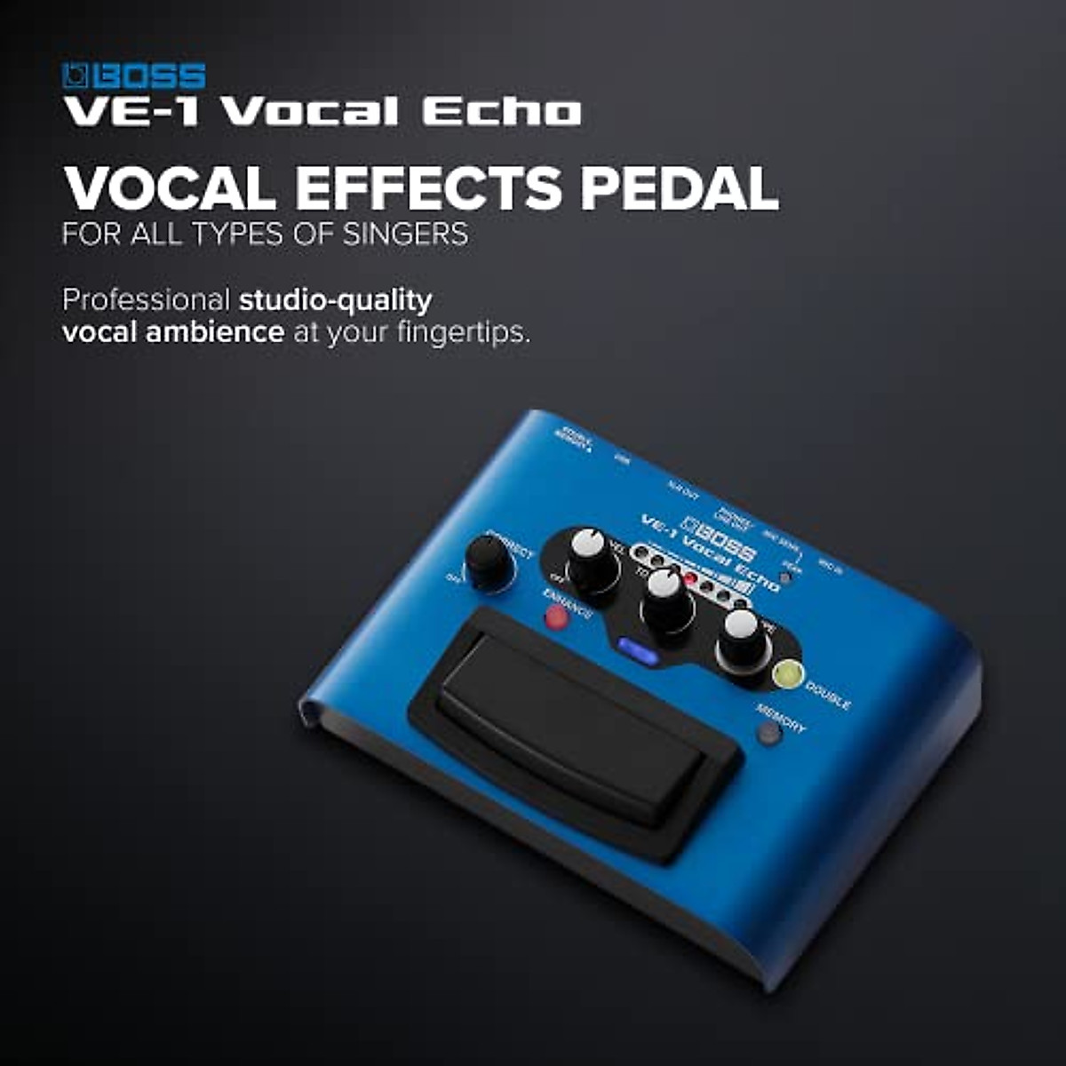 Boss VE-1 Vocal Echo
