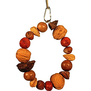 A&E Cage Company 001444 Happy Beaks Mixed Nut Ring Toy Multicolored
