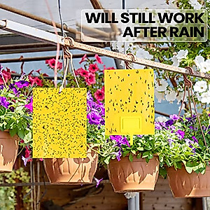 400 Pieces Sticky Traps for Gnats Yellow Dual Sided Sticky Traps for Indoor and Outdoor Fruit Fly Plant Sticky Traps with Twist Ties and Plastic Holders for Flying Plant Insect, Fungus Gnats