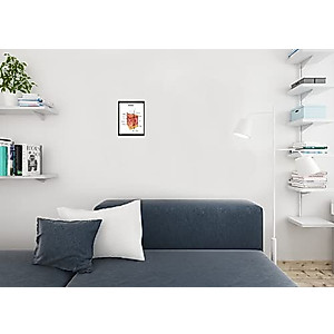 Human Skin Anatomy Cross Section Diagram Chart Art Print Stand or Hang Wood Frame Display Poster Print 13x9