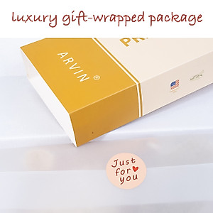 All Natural Soap and Dry Brushing Body Brush Gift Set for Lymphatic Drainage | Boar Bristle | Exfoliating Shower Brush, Facial Cleansing Brush, Massager Brush Cellulite | Face Beauty Bar, Loofah Soap