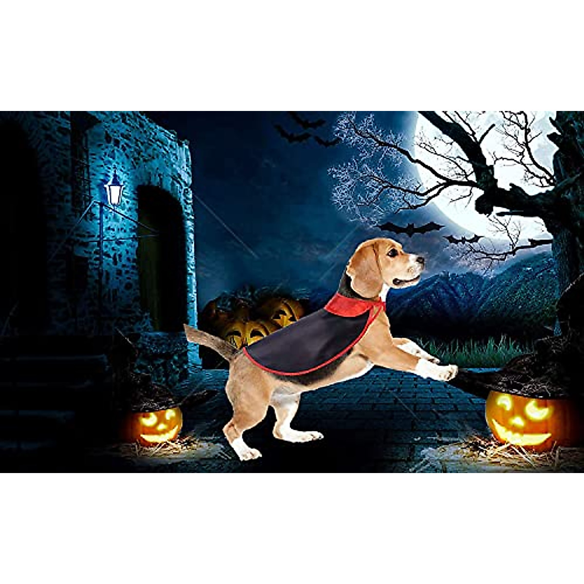 LKEX Halloween Large Dog Costume, Pet Bat Wings & Vampire Cloak, 2 Pack, Dog Funny Holiday Clothes for Bloody Zombie Cosplay Party