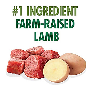 NUTRO Limited Ingredient Diet Adult Canned Soft Wet Dog Food Premium Loaf Lamb & Potato Recipe, (12) 12.5 oz. Cans