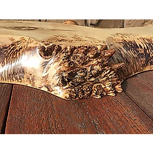 Table top from poplar burl slab, live edge table top, poplar burl, slab burl