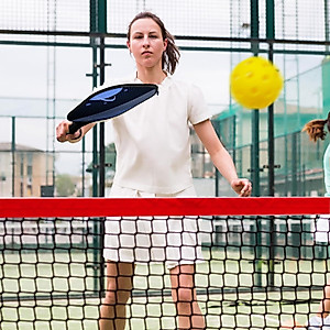 Pennpliy Pickleball Set with Net and Paddles, 22 FT Portable Net, 4 Fiberglass Paddles, 4 Balls, Black