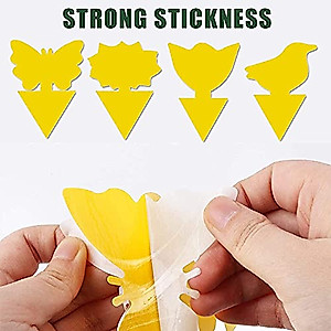 36 Pack Fungus Gnat Traps for House Plants, Yellow Sticky Traps for Indoor Outdoor Use to Get Rid of Whitefly Mosquitoes Fungus Gnats Thrips Leafminer Flying Insects Protect Your Plants