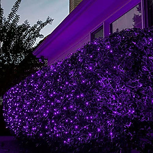 TW SHINE Halloween Christmas 200 LED Net Lights, 9.8 FT x 6.6 FT Connectable Waterproof Decorations with 8 Modes for Outdoor Garden Holiday Party (Purple)