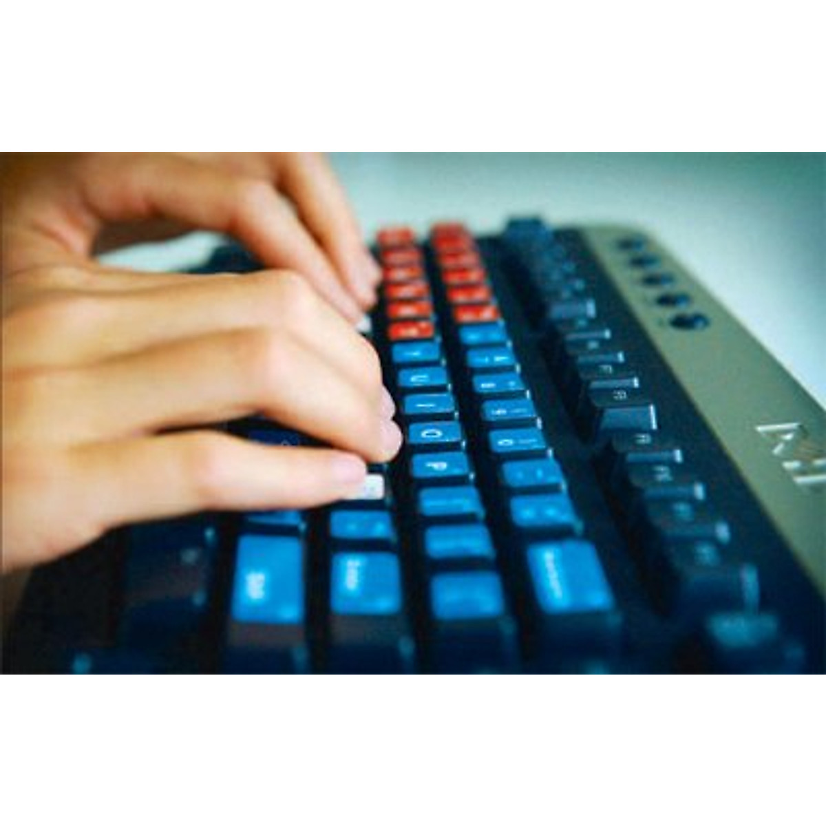 Learn to Type Keyboard Stickers Touch Typing for Kids and Adults Easily Applied to All Keyboards