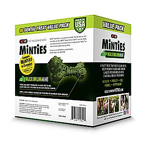 VetIQ Minties Dog Dental Bone Treats, Dental Chews for Dogs, (Perfect for Tiny / Small Dogs under 40 lbs), 80 Treats (box)