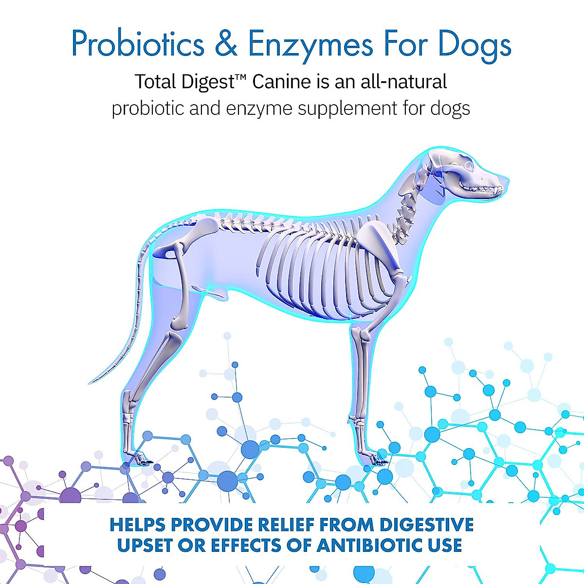 Total Digest™ Canine Probiotics and Enzymes for Dogs, All-Natural Digestive System Dietary Supplement Formula for Dogs (120 Days)