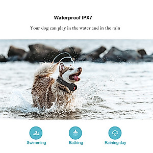 IQQDEBE 2023 Upgraded GPS Wireless Dog Fence System,1500mAH Large-Capacity Battery Wireless Fence,IPX7 Waterproof Dog Fence Collar,33~999 Yard Pet Dog Trainer Fence System for Dogs in Large Yards