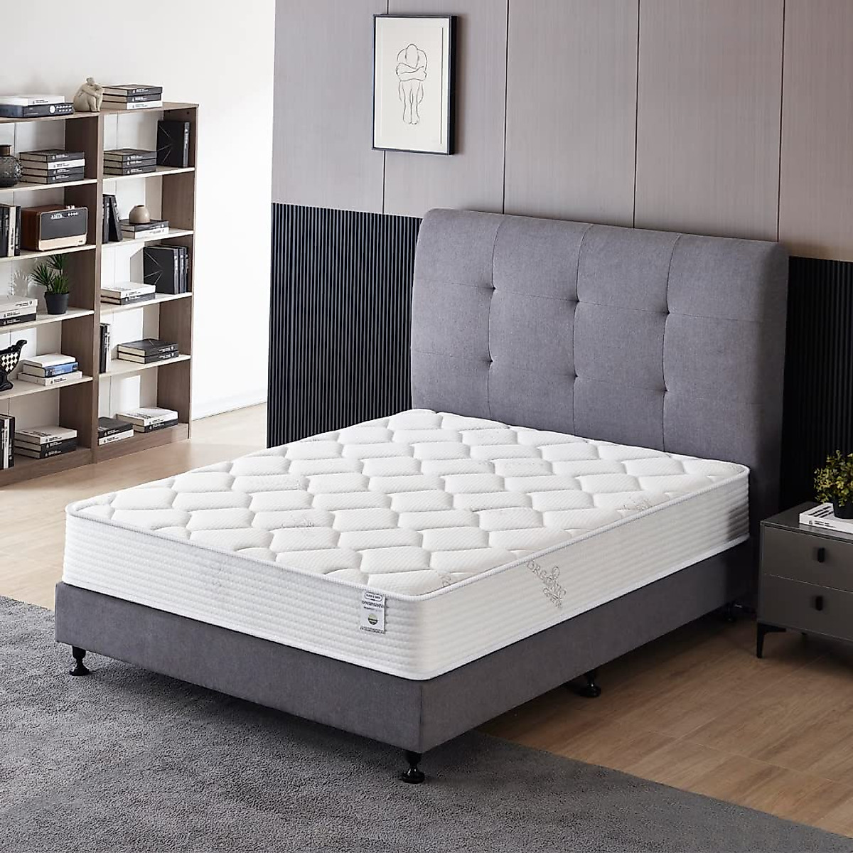 Queen Size Mattress - 10 Inch Cool Memory Foam & Spring Hybrid Mattress with Breathable Cover - Comfort Plush Euro Pillow Top - Rolled in a Box - Oliver & Smith