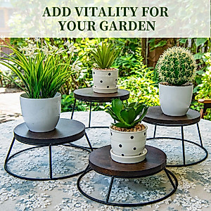 WIWIWISAM Food Display Riser for Party Food Service Display Stands Set of 4,Apply to Party,Dining Bar,Living room or Garden Wood Top & Black Metal Wire